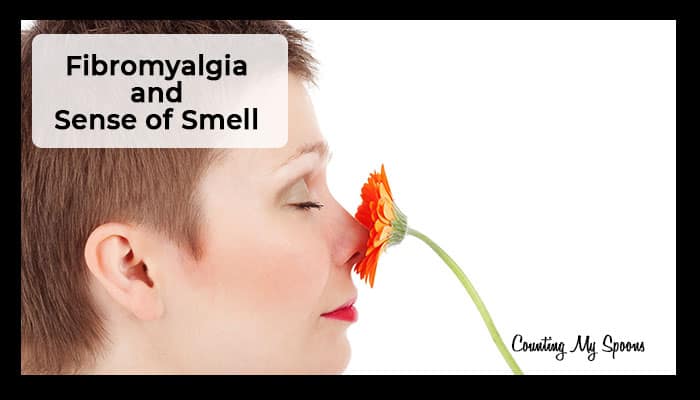 Fibromyalgia and Sense of Smell - Counting My Spoons