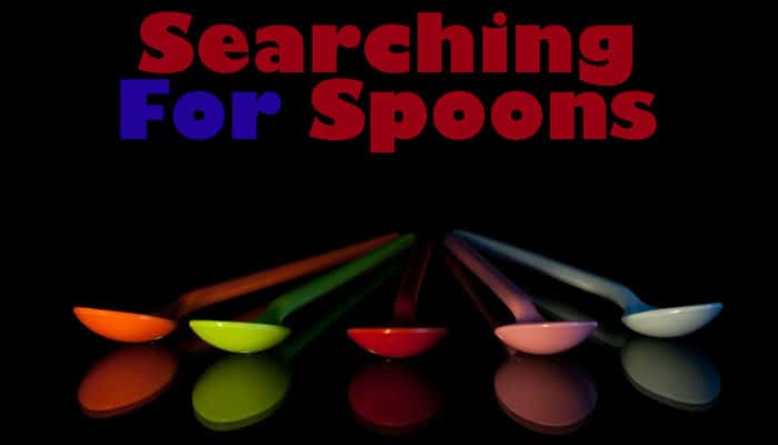 Searching for Spoons - Counting My Spoons