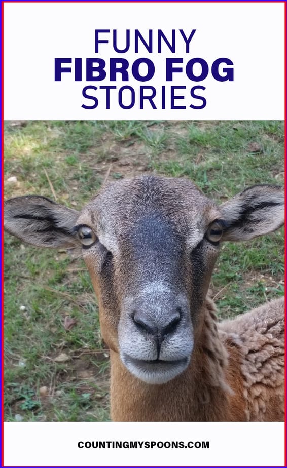 Funny Fibro Fog Stories - Counting My Spoons