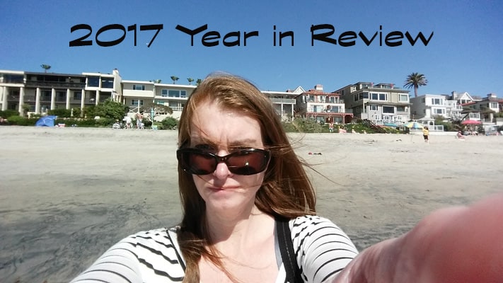 2017: A year in review - Counting My Spoons